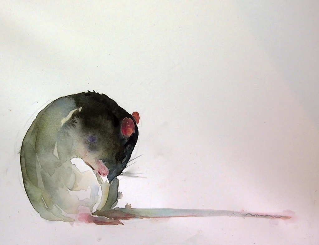 Abstrakce | Draw Planet - výtvarné ateliéry