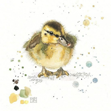 Jane Crowther - Draw Planet - výtvarné ateliéry