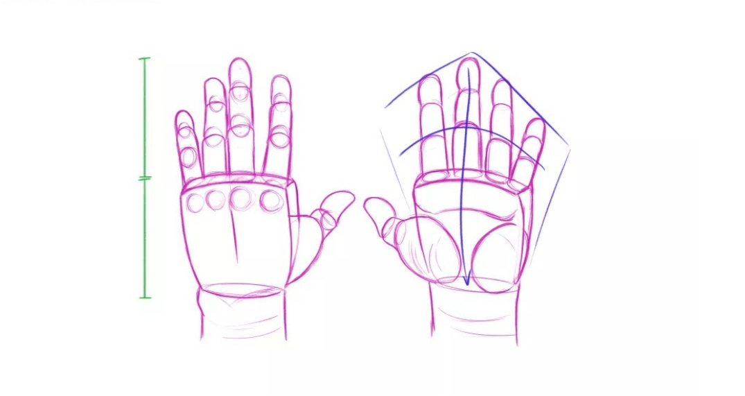 Jak nakreslit ruce?